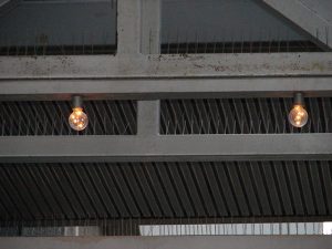 Pigeon Spikes, Bird Spikes - Pigeon Guard